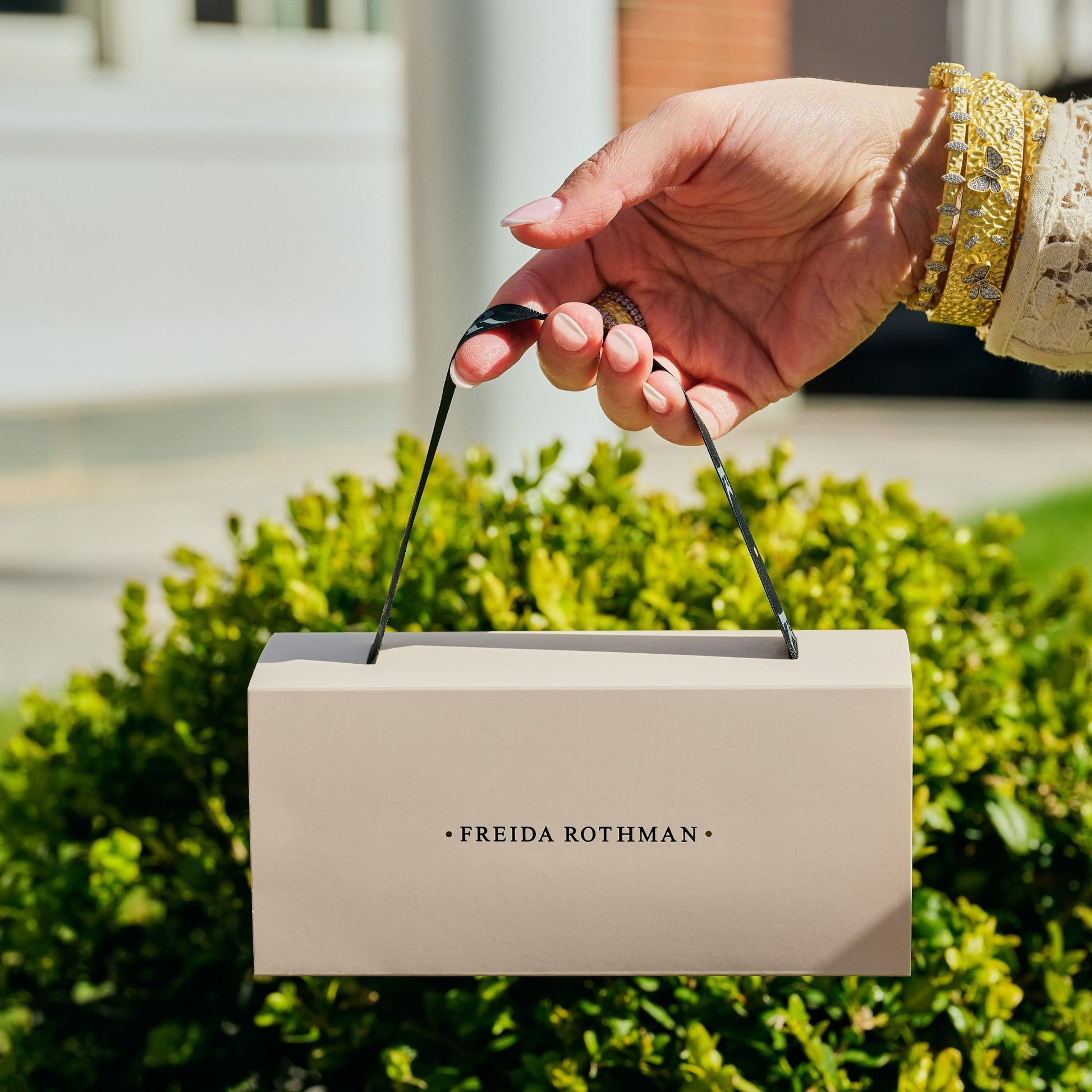 Freida Rothman:ANA – FREIDA ROTHMAN